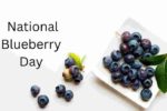 National Blueberry Day – July 8, 2024 - Sleeps Eight