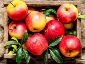 National Apple Month – October 2024 - Sleeps Eight